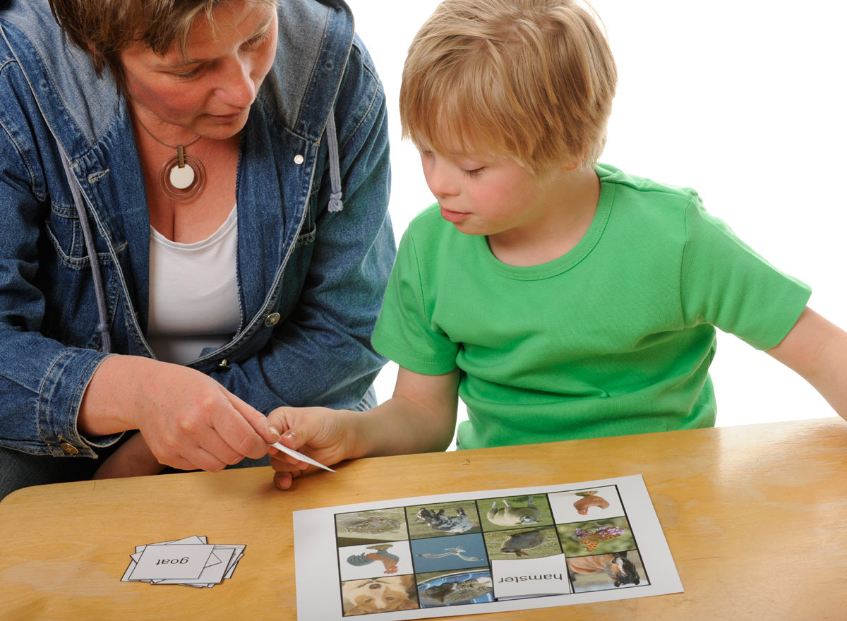 Learning Disorders Cook Speech And Language Inc Learning Disorders Cook Speech And Language Inc